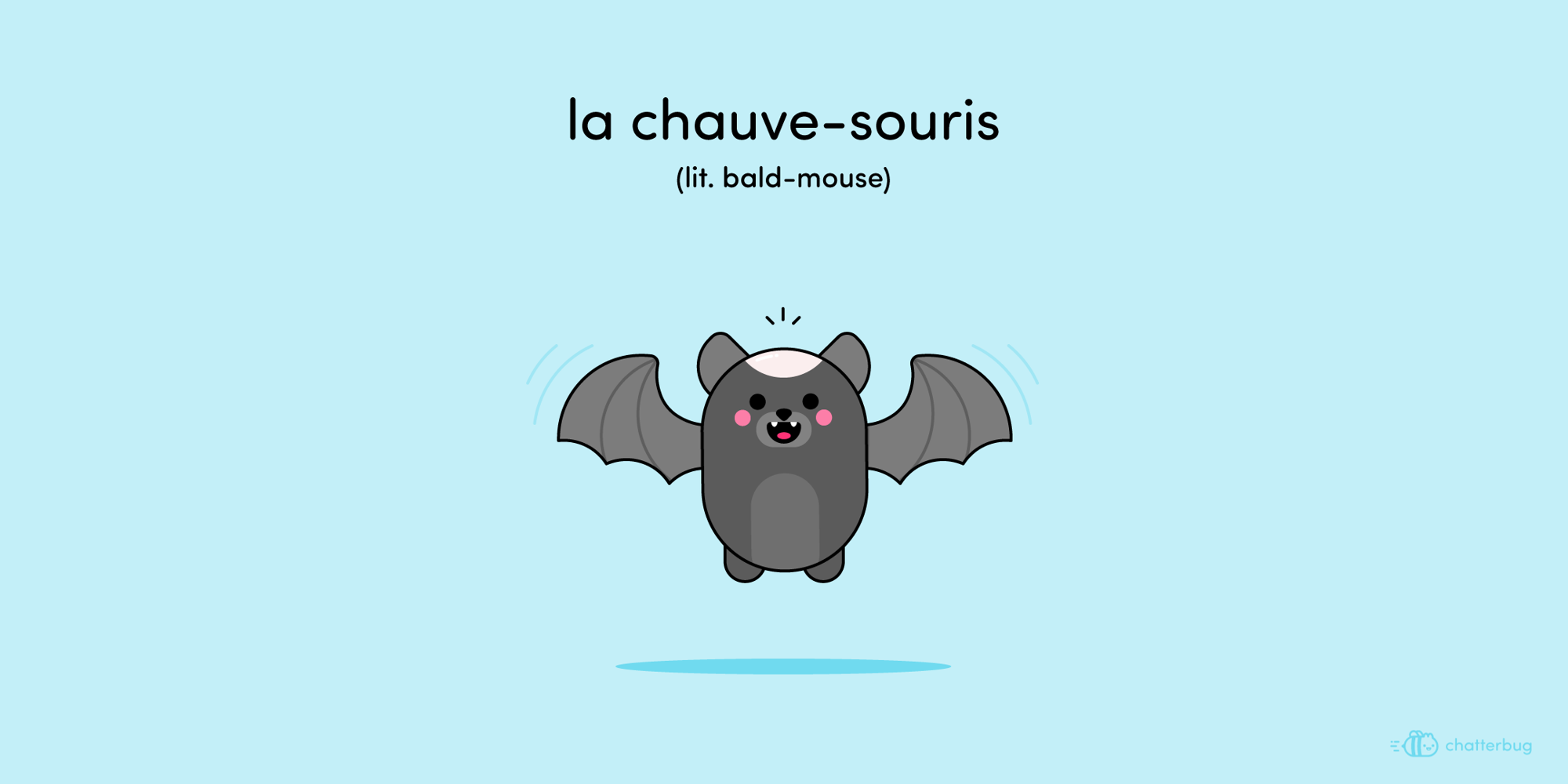 19 Funny French Words - Chatterblog